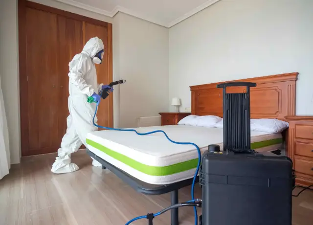 Bed Bugs Resolved Pest Control